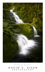 Digital ProTalk: Technique Tuesday: The Photographic Flip Side of David ...